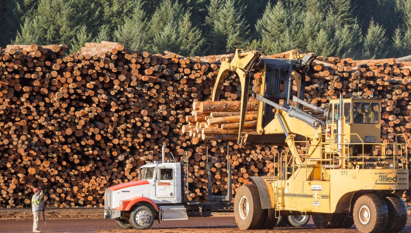 Freres October Market Report: South American Plywood Claim - Freres ...