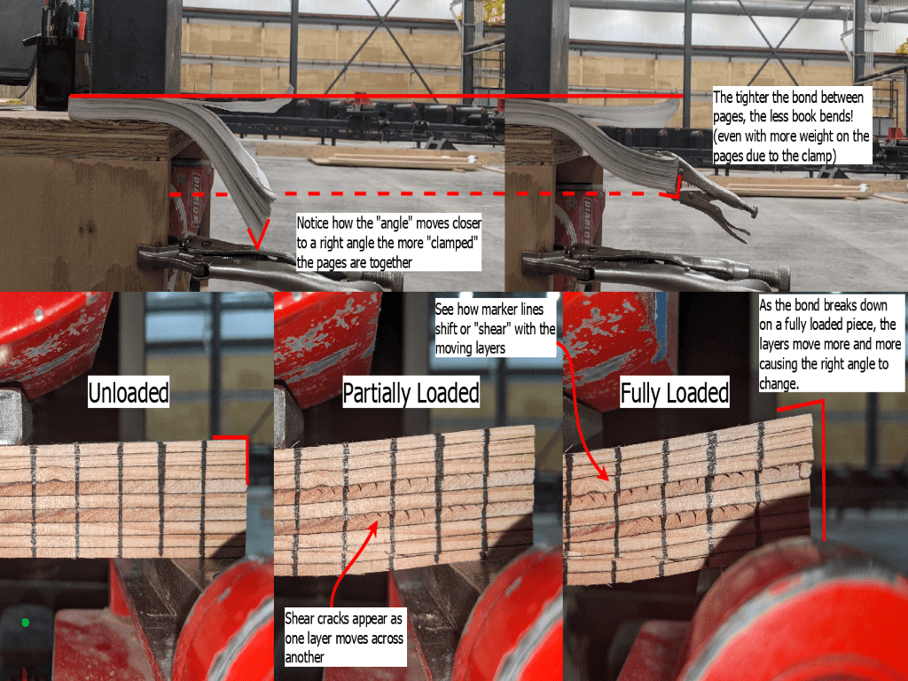 Double-T to a Tee - Freres Engineered Wood