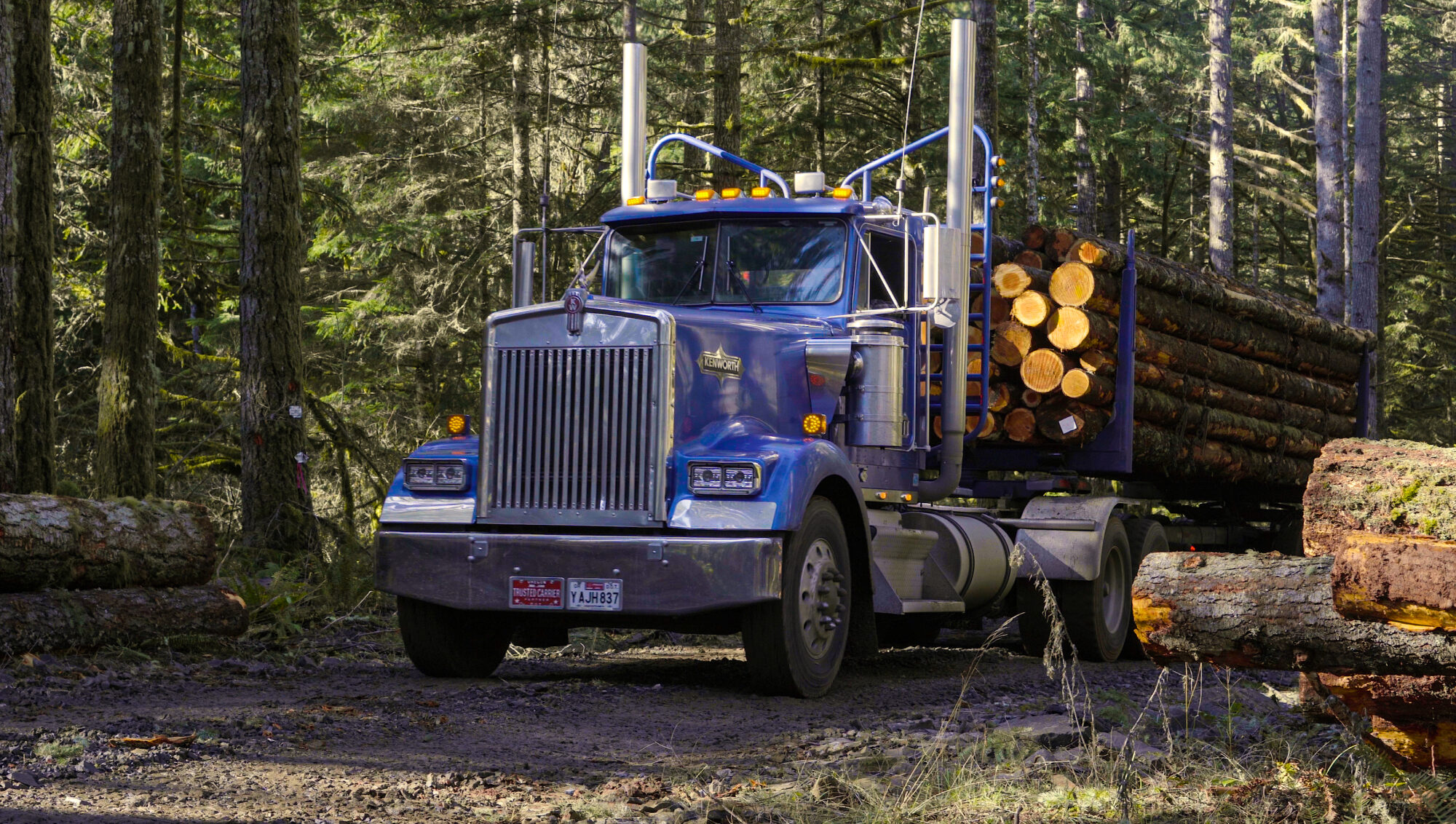 R99 Renewable Diesel: Sustainability in Log Truck Fleets - Freres ...