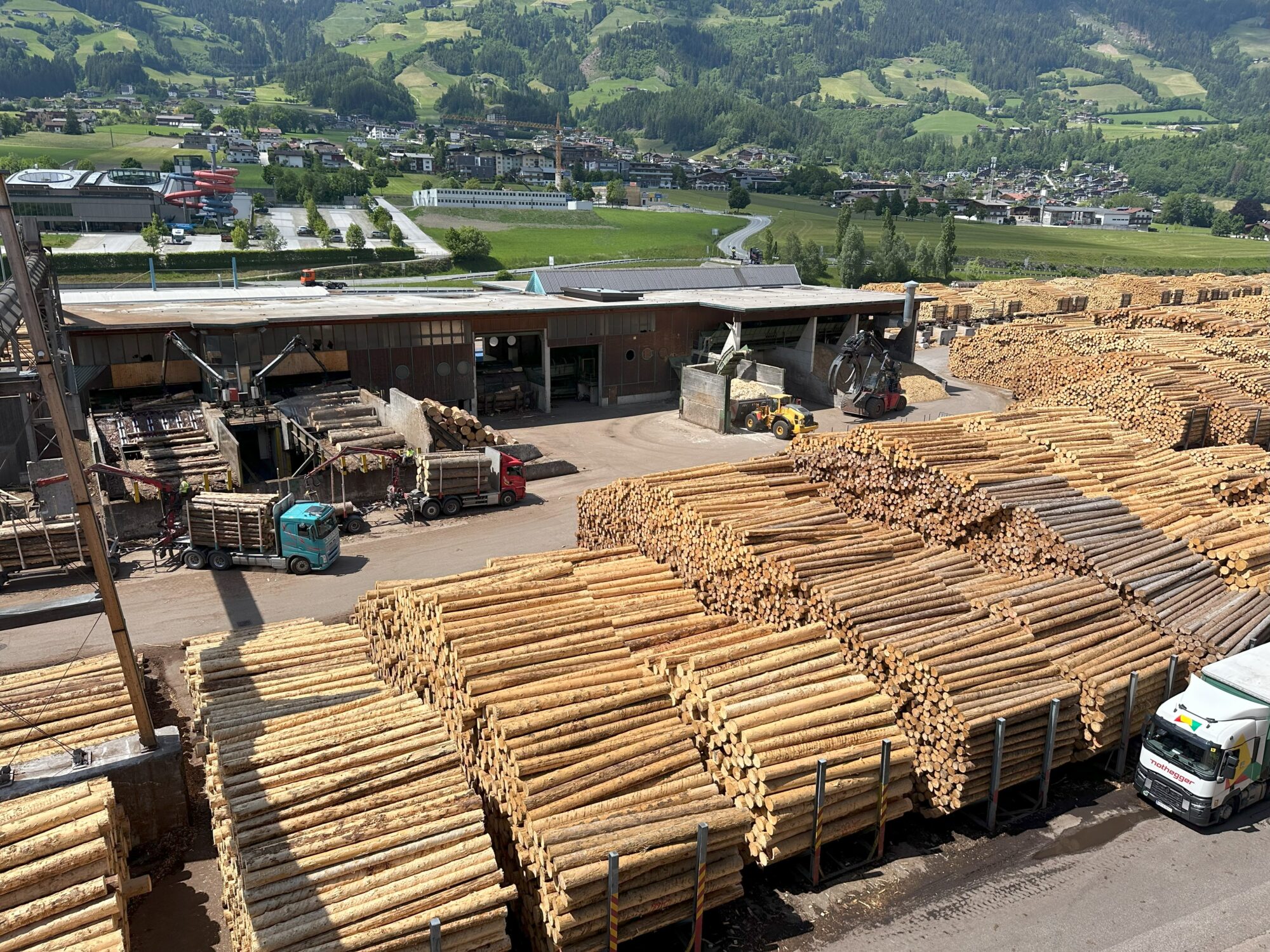 European Timber Management: Key Lessons from the PLIB’s Tour - Freres ...